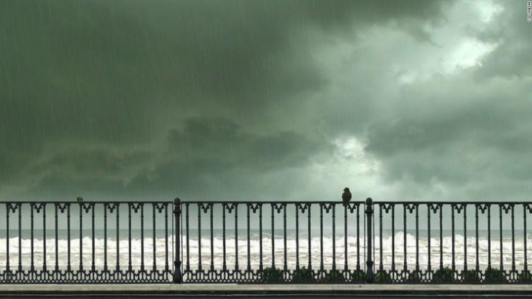 24 Frames (Abbas Kiarostami, 2017) – Seattle Screen Scene